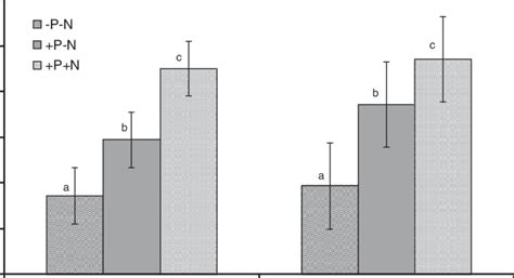 Effect Of Phosphorus And Nitrogen Fertilization On Maize Yield In Download Scientific Diagram