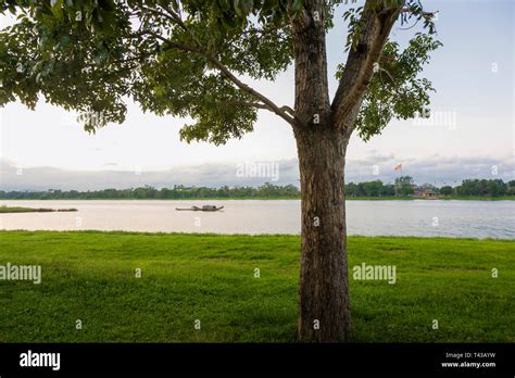 Tree And River Stock Photo Alamy