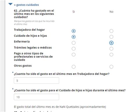 I Want To Show The Total Of The Expenses But I See That It Does Not Add Up The Variables Form