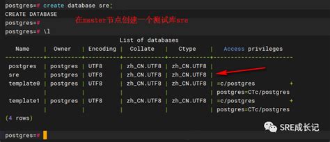 Postgresql的集群搭建与监控方案pgsql 集群 Csdn博客