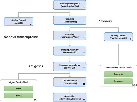 Workflow Of The Bioinformatic Pipeline From Raw Data To Annotated