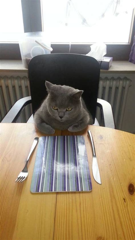 When Your Mom Calls You To Eat But The Food Isnt Ready Yet Meme Guy