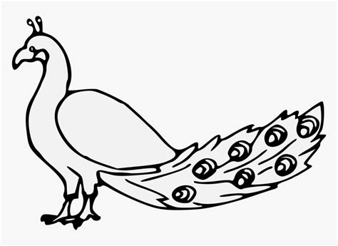 Peacock Drawing Outline