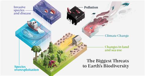 World Pledges More Money To Protect Biodiversity