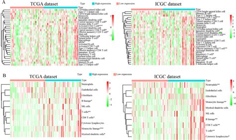Validation Of The Immune Infiltration Characteristics Of Grb2 By Ssgsea