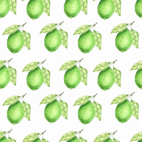 Premium Vector Juicy Green Lime Lime Slices Exotic Citrus Fruit Watercolor Seamless Pattern On
