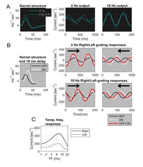 effect on ds of time delay and modified temporal kernel structure a