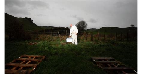 Бум от кражби на цели пчелини в Нова Зеландия Български Фермер