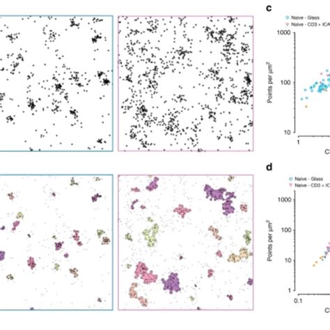Knn Based Clustering Of Localized Cell Structures Kaggle