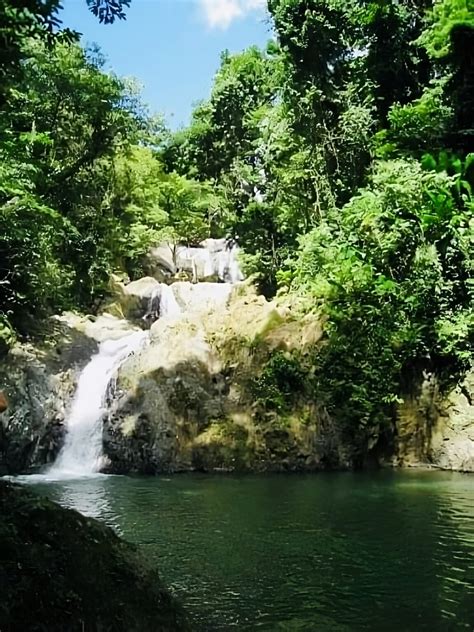 Our Tours Tobago Island Tours