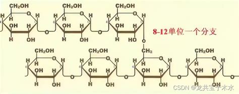 2生物化学与分子生物学——糖类 六元环糖的编号 Csdn博客