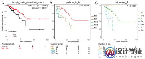 Graphpad怎么做平滑曲线？手把手教你用graphpad绘制生存曲线 设计学徒自学网