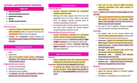 ANAPHY 101 MIDTERM REVIEW Nervous System Endocrine Functions Studocu