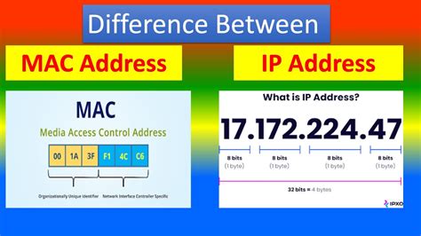 Difference Between Mac Address And Ip Address Youtube