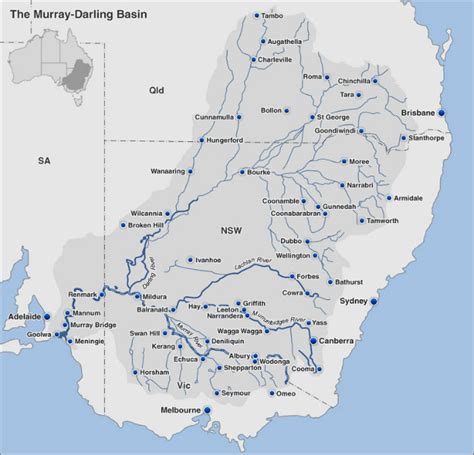 Murray Darling Basins Water Birds In Dramatic Decline Study Shows