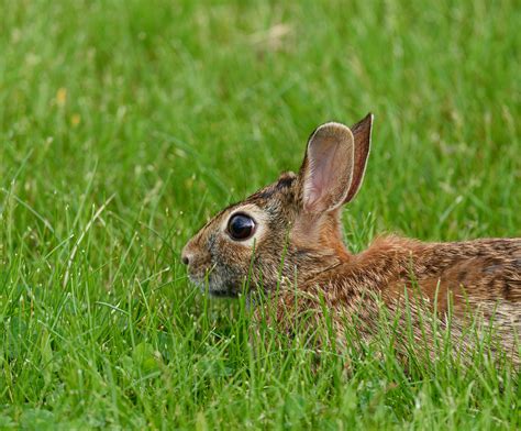 Abiotic Ecosystem Photos Download The Best Free Abiotic Ecosystem