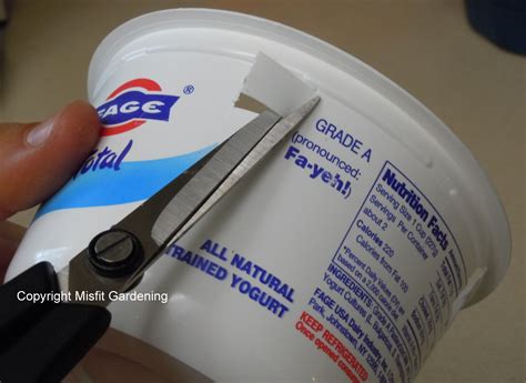 Make Your Own Slug Traps Misfit Gardening