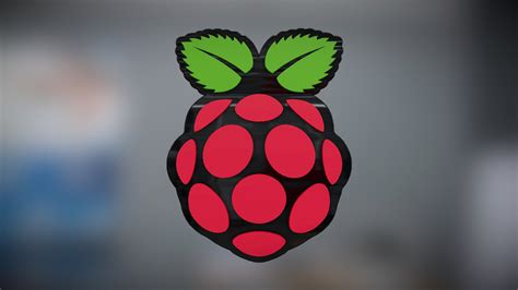 Raspberry Pi D Logo Buy Royalty Free D Model By AnshiNoWara E Sketchfab Store