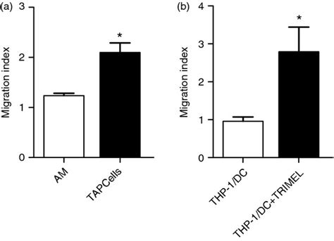 Melanoma Cell Lysate Induces Ccr7 Expression And In Vivo Migration To