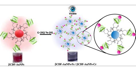 Unraveling The β Cyclodextrin Driven Inclusion Complexation With