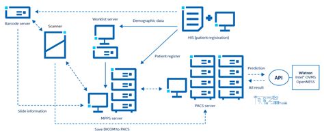 Revolutionizing Digital Pathology Using Intel Edge To Cloud Technologies Openvino Toolkit