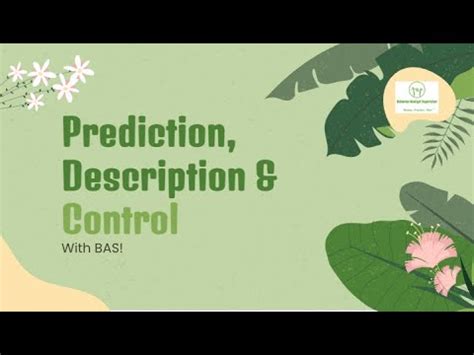 Prediction Description Control With BAS YouTube