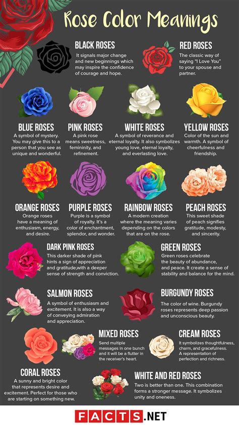 White Rose Meaning Language Of Flowers Best Flower Site