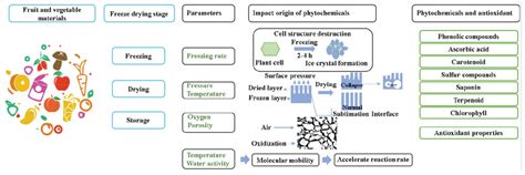 Novel Efficient Physical Technologies For Enhancing Freeze Drying Of Fruits And Vegetables A Review