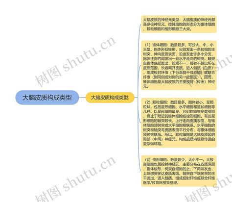 大脑皮质构成类型思维导图 编号p7565038 Treemind树图