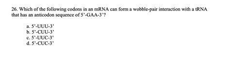 Solved 26 Which Of The Following Codons In An Mrna Can Form