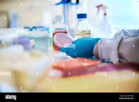 Labratory Scientist Extracting Dna And Biological Material For Testing From Test Tube On His