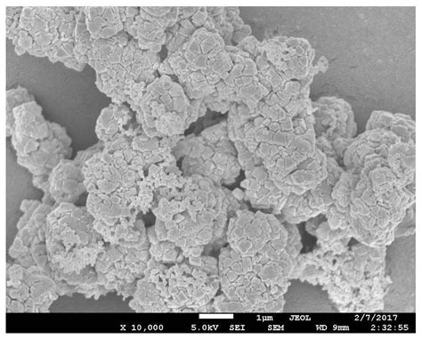 具有核壳结构的y Y复合型分子筛及其制备方法和应用与流程