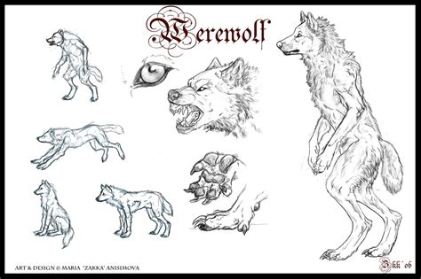 Werewolf Drawing Tutorial At Explore Collection Of