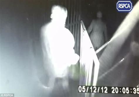 Cctv Shows Two Young Women Tying Up And Abandoning Severely Emaciated