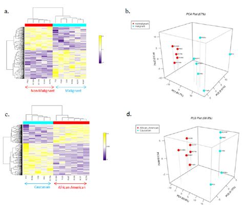 Heat Map Of Mirna Microarray A Hierarchical Clustering Analyses Of