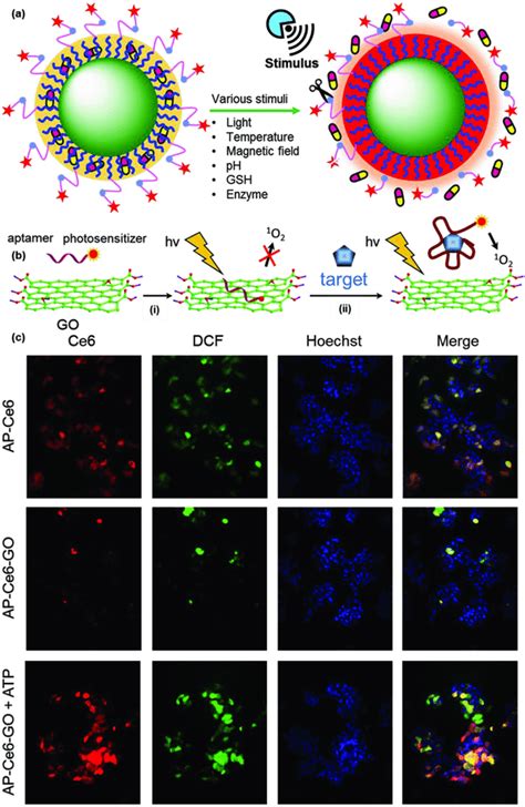 A Introduction Of Stimuli Responsiveness Into Nanomaterials B
