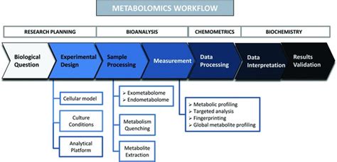 Scheme Of A General Cell Metabolomics Workflow Download Scientific