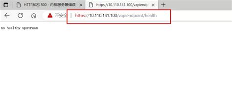 无能小子 vapi endpoint运行正常但出现警告的解决办法