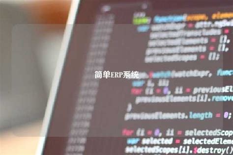 简单ERP系统 鲸选ERP