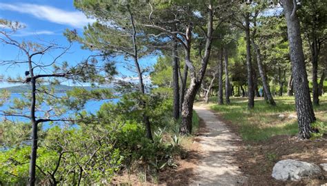 SCSC CERN Babe Of Computing