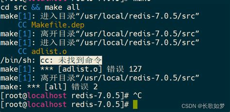 【redis学习系列】centos 7 Redis源码安装问题no Python3 In Csdn博客