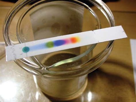 Thin Layer Chromatography Separation Identification Detection