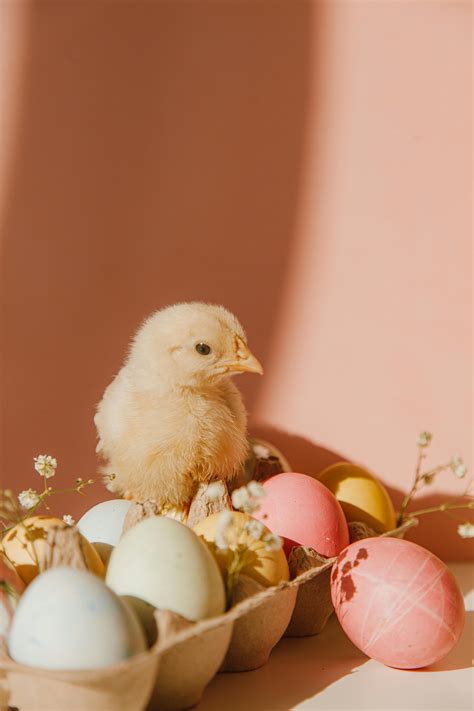Easter Ms Teams Background Photos Download The Best Free Easter Ms