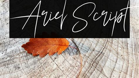 Ariel Script Font