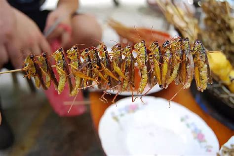 风味云南，“油”你真好 美食 文旅频道 云南网