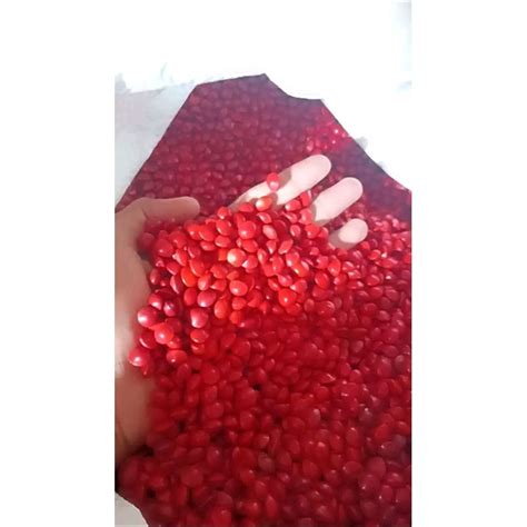 Jual Biji Merah Biji Saga Shopee Indonesia