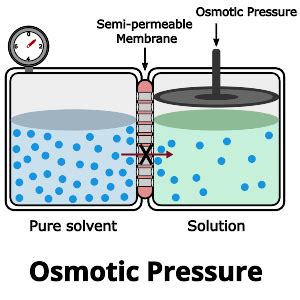 Example Of Osmotic Pressure