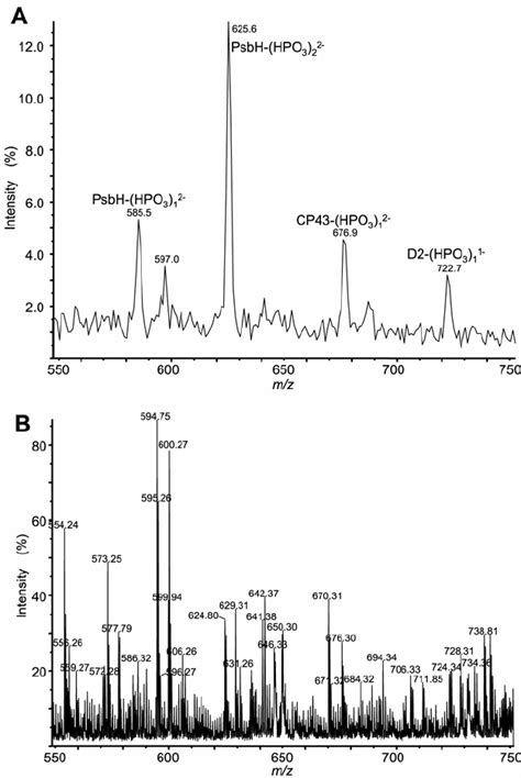 Precursor Ion Scan In Negative Mode For Marker Ion Po 3 Mz 79 Of
