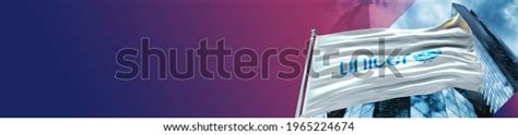 Unicef Flag Waving Texture Sky Building Stock Illustration