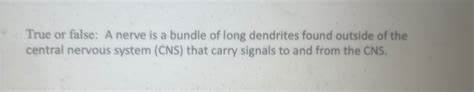 Solved True Or False A Nerve Is A Bundle Of Long Dendrites Chegg